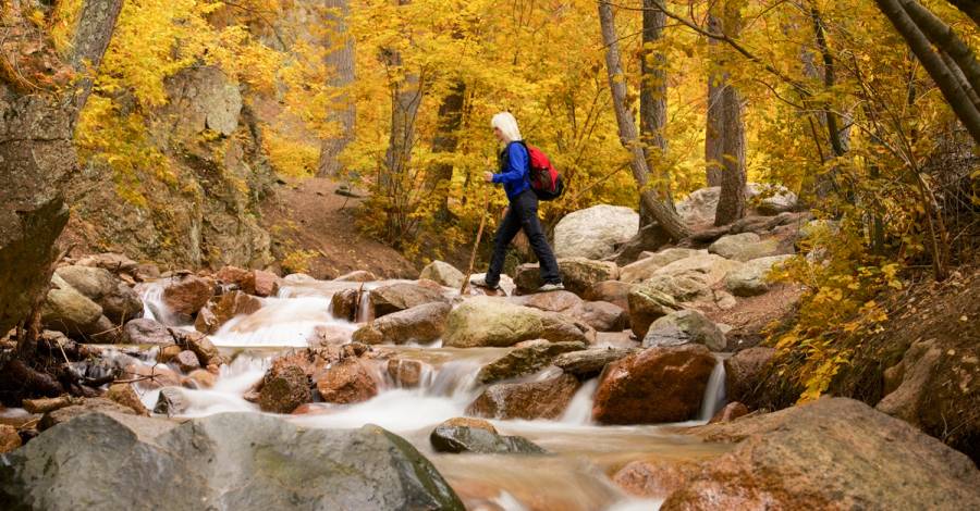 Top Fall Aspen Tree Hikes - Visit Colorado Springs