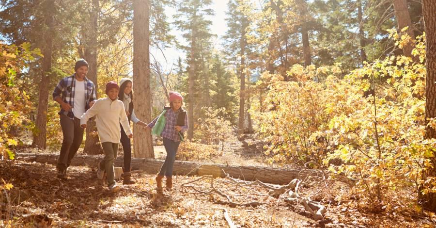 Fall & Winter Adventures